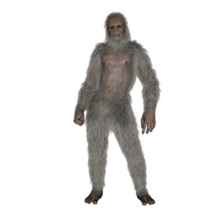 Jeri’s Jackpot: The Legend of the Wood Ape – The Clarion