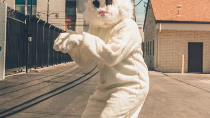 2021 Cadbury Bunny Contest Winner is a Frog – The Clarion