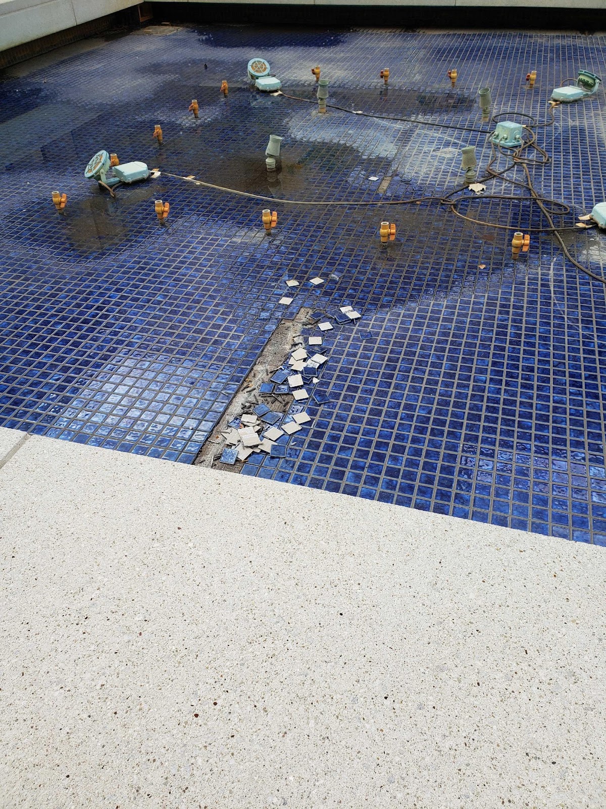 West Walkway Reopening for Sinclair Dayton Campus – The Clarion