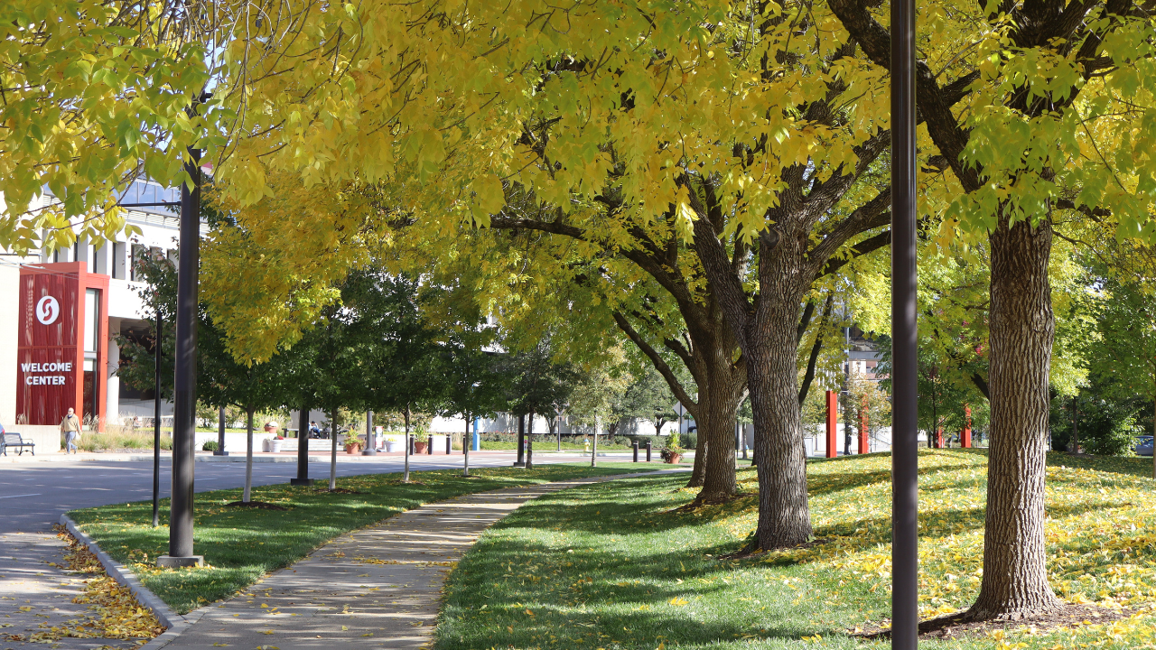 From student to dean: How Sanja Keller turned her Sinclair story into a ...